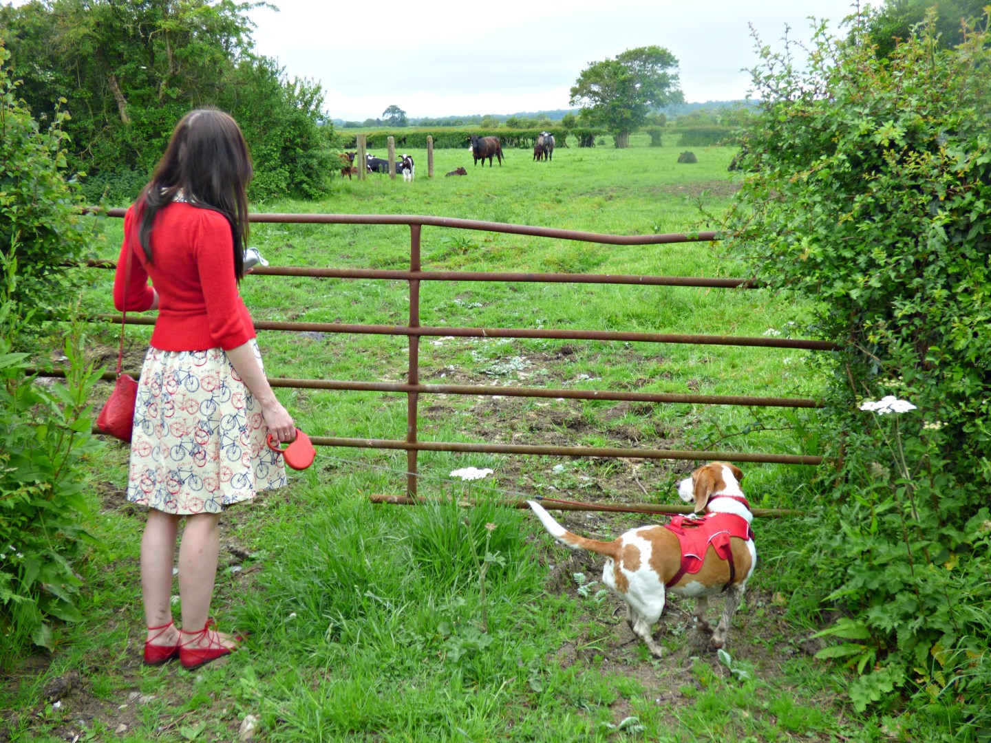 Outfit: Overdressed As Usual… – Picking the Day