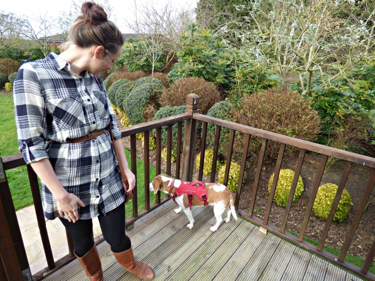 Outfit: Get Shirty – Picking the Day