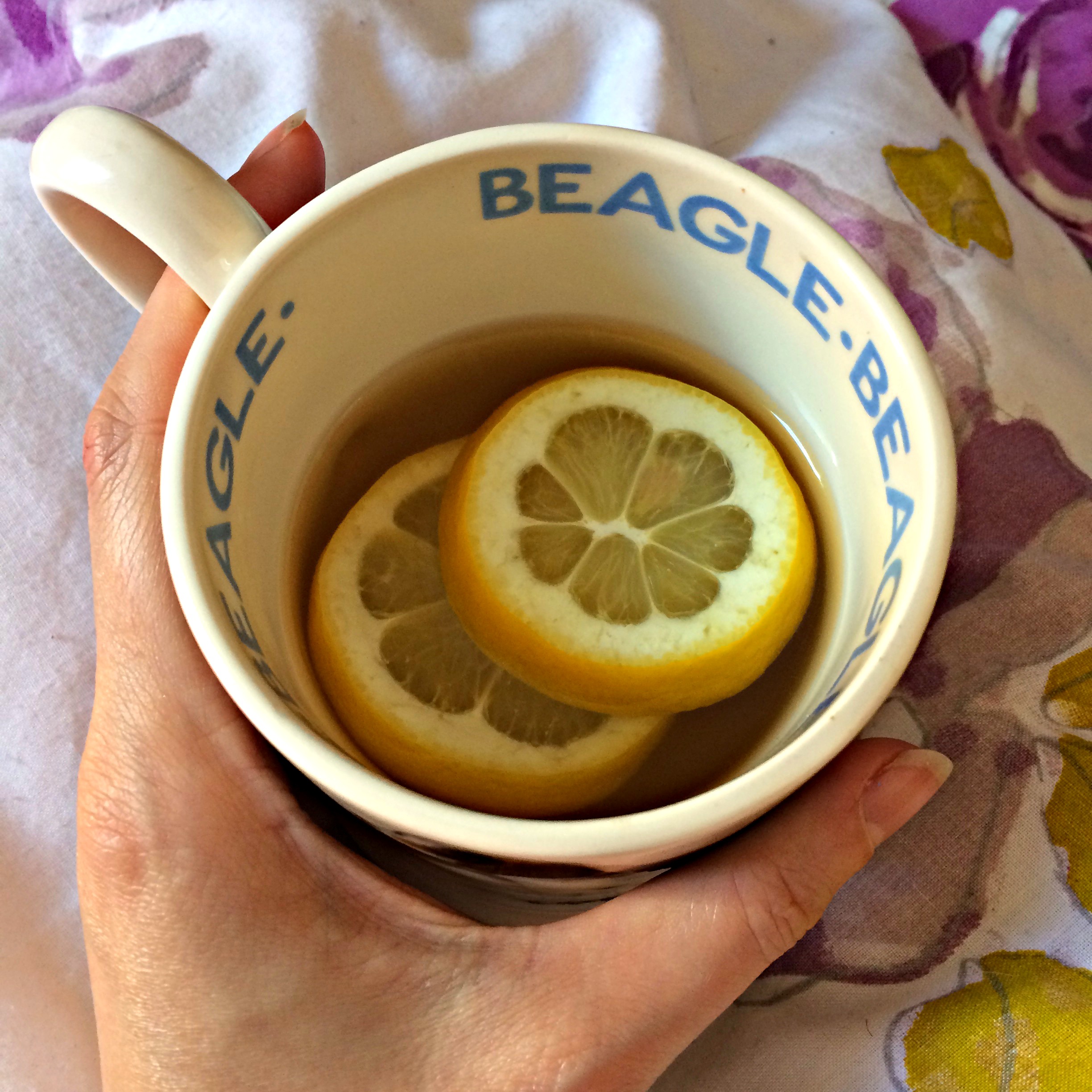 My Top Tips for Surviving a Cold – Picking the Day