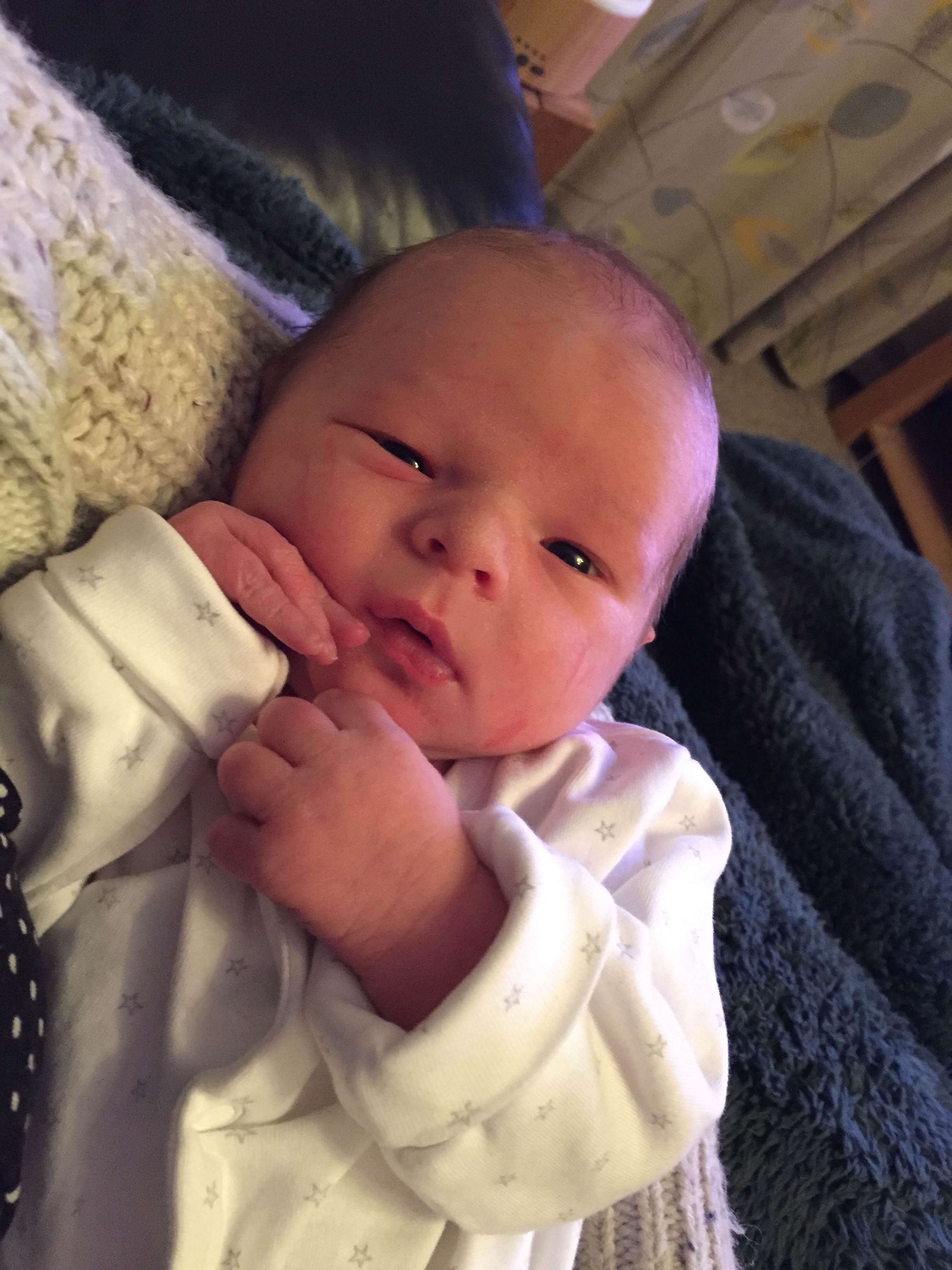 Introducing Bailey… – Picking the Day